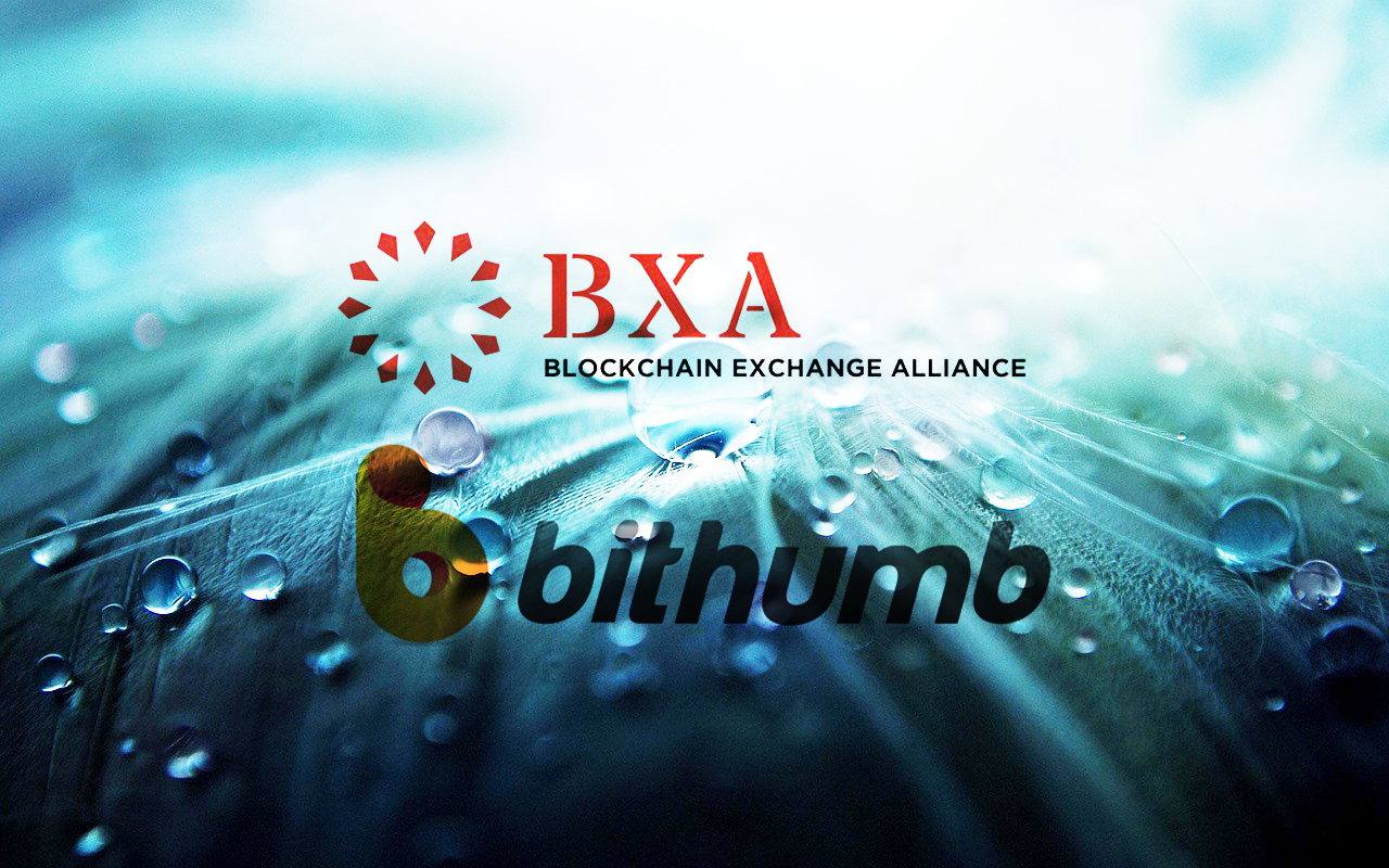 BXAは日本進出に向け、日本の仮想通貨交換ライセンスを持つ企業との資本業務提携の締結に向けての協議を開始 | NEXTMONEY｜仮想通貨メディア