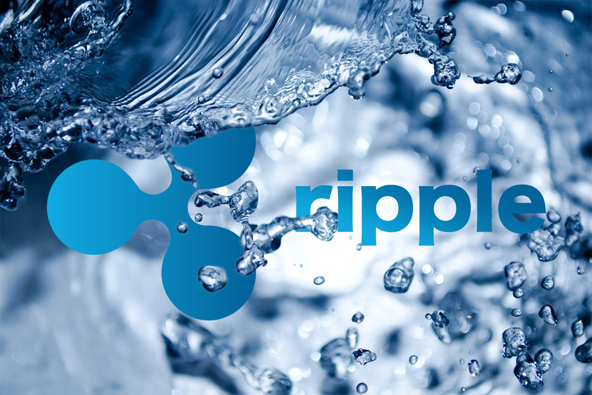リップル（Ripple）とパラオが革新的なステーブルコインプロジェクトの可能性を実証| NEXTMONEY｜仮想通貨メディア
