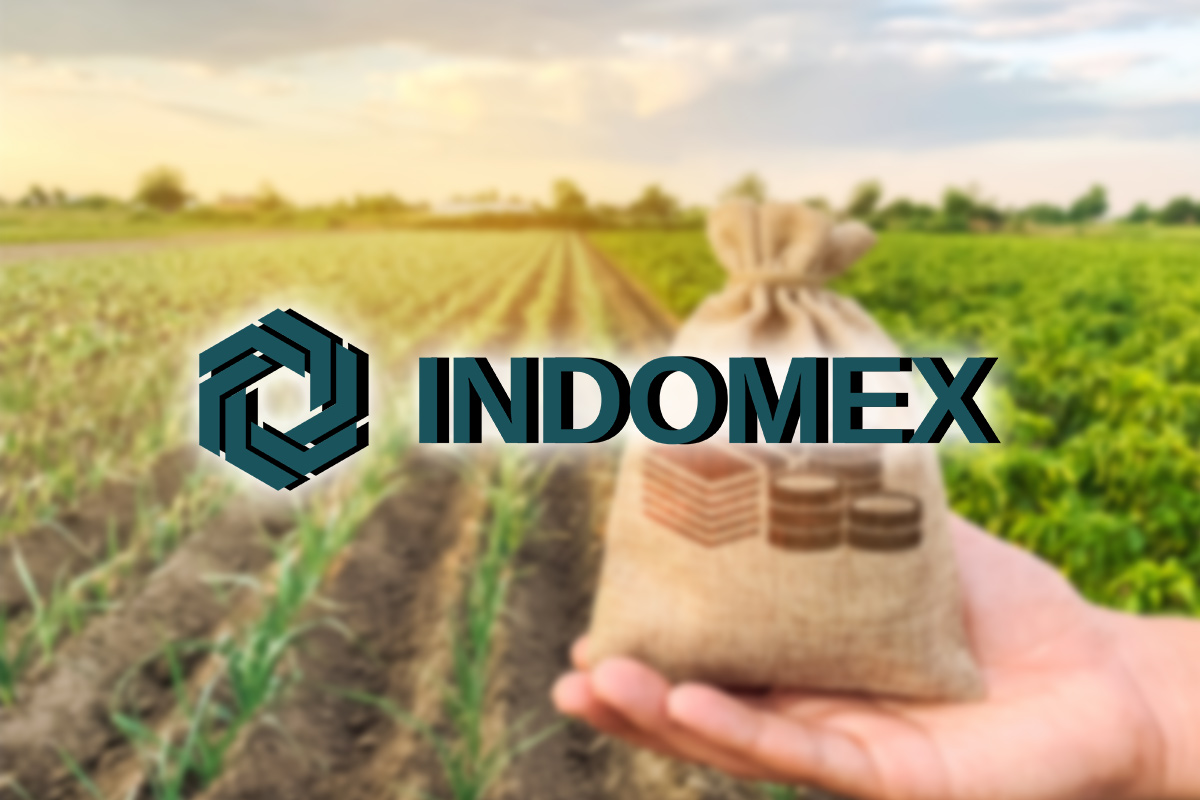 INDOMEX(インドメックス)の詳細・特徴とは？ | NEXTMONEY｜仮想通貨メディア